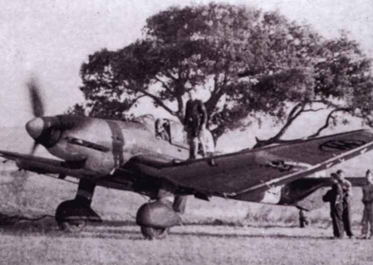 STORMO! Messerschmitt Bf.109 Fasci - Regia Aeronautica by Vince Tassone