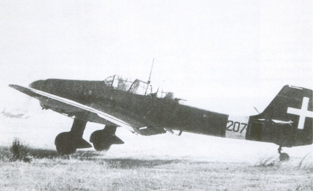 STORMO! Hasegawa 1/48 Junkers Ju 87 D3 Picchiatello by Jean Barby