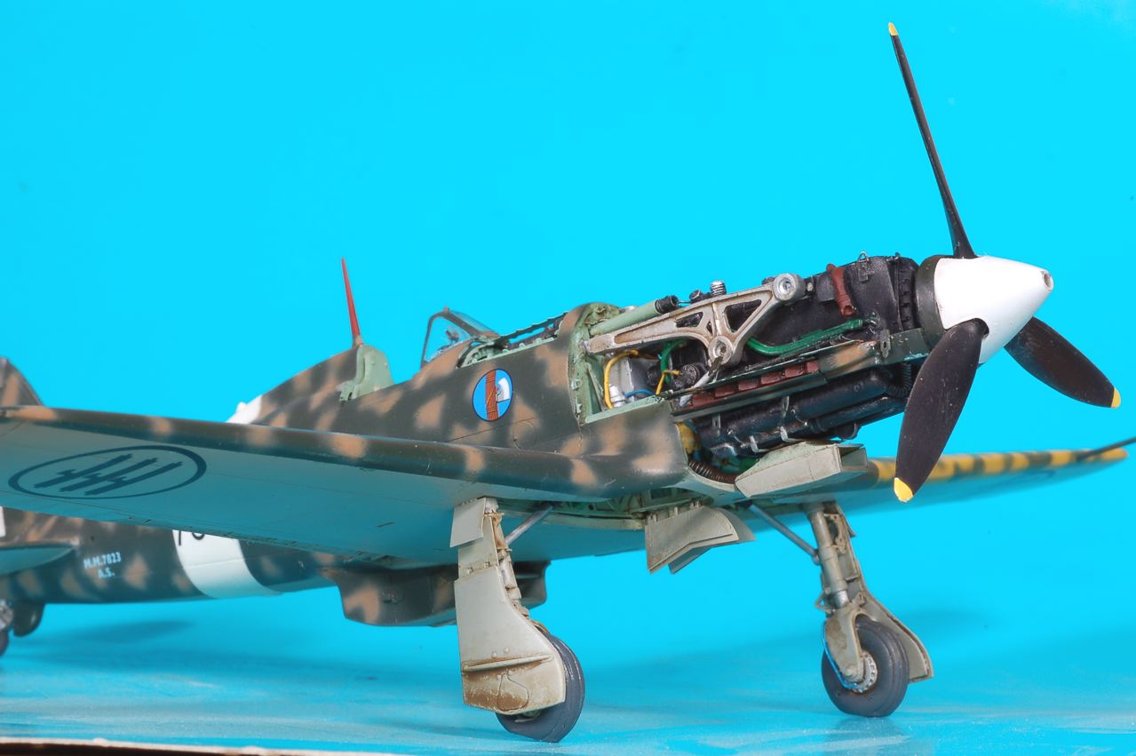 STORMO! Hasegawa 1/48 Macchi MC.202 Folgore -Giulio Reiner- by Jean Barby