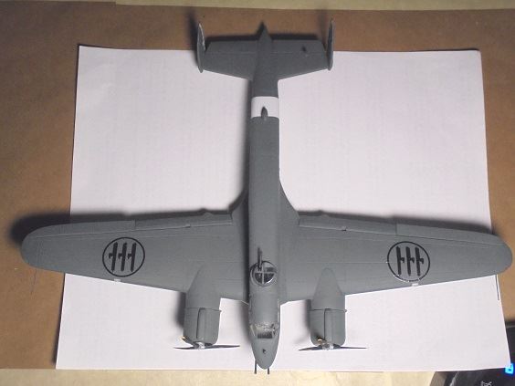 STORMO! Italian Kits Wings 1/72 Savoia Marchetti SM.89 by Richard Mendes