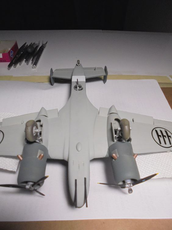 STORMO! Italian Kits Wings 1/72 Savoia Marchetti SM.89 by Richard Mendes